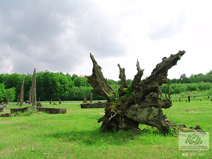 Tourist Board of Bjelovar-Bilogora County